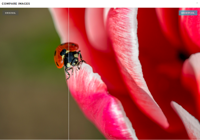 The Complete Guide To Image Compression How To Reduce Image Sizes For Faster Sites ShortPixel 