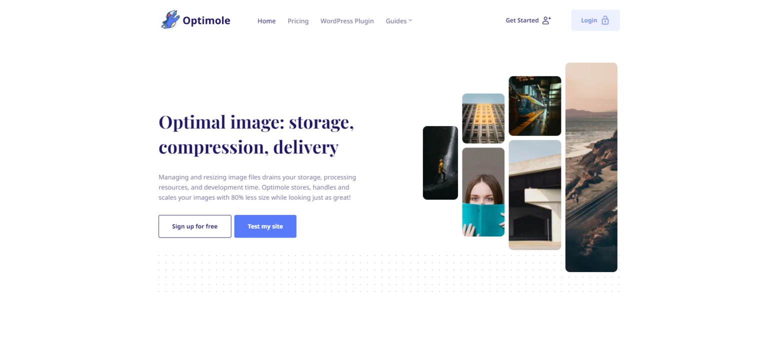 12 Gutenberg-Compatible Optimization Tools for WordPress - ShortPixel Blog