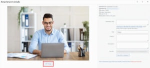 Everything You Need to Know About WordPress Image Sizes [+ Customization, Optimization, 6 ...