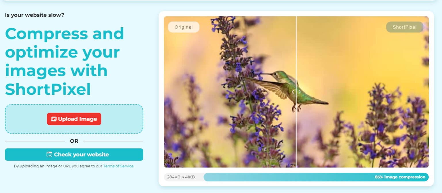 9 Best Ways to Compress Images in Bulk [+ Resize and Optimize in Bulk] - ShortPixel Blog