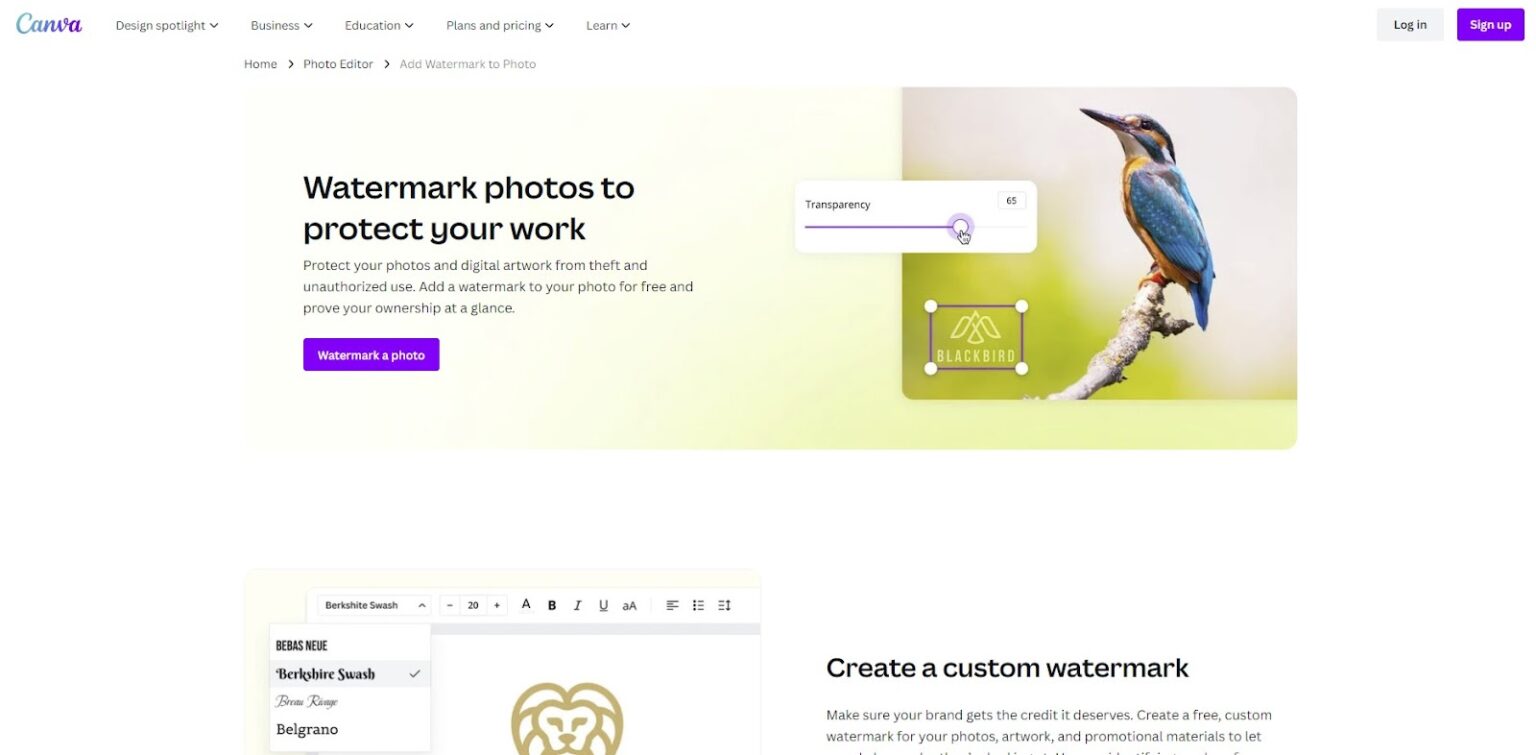 Watermark Your Images Like a Pro: 7 Best Ways & Tools