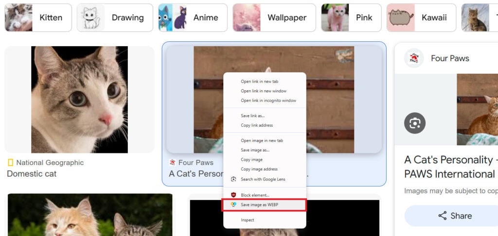 6 Easy Ways to Convert JPEG to WebP Images