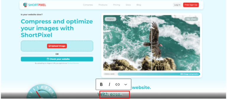 WordPress Image Captions: 5 Best Practices for Naming Your WordPress Images