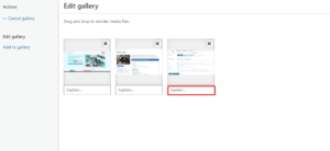 WordPress Image Captions: 5 Best Practices for Naming Your WordPress Images