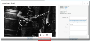 WordPress Image Captions: 5 Best Practices for Naming Your WordPress Images