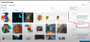WordPress Image Captions: 5 Best Practices for Naming Your WordPress Images