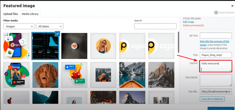 WordPress Image Captions: 5 Best Practices for Naming Your WordPress Images