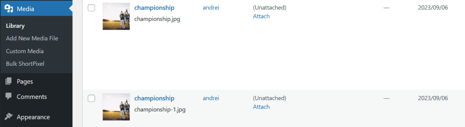 10 Common WordPress Image Issues and How to Fix Them