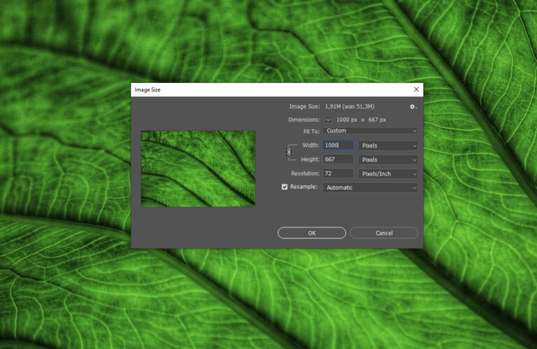 How To Resize a Picture: A Complete Step-by-Step Guide - ShortPixel Blog