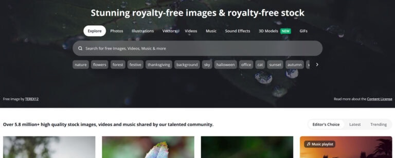 5 Websites To Download Free Stock Images - ShortPixel Blog